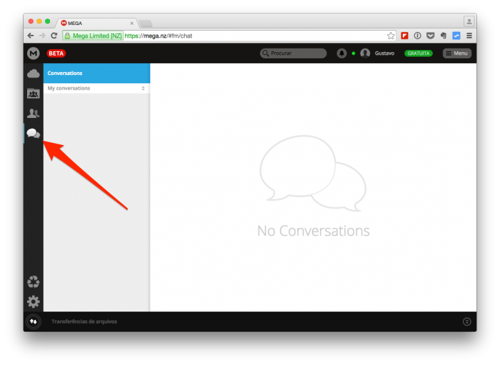 Kim Dotcom lança MegaChat, "skype" criptografado no browser - CocaTech